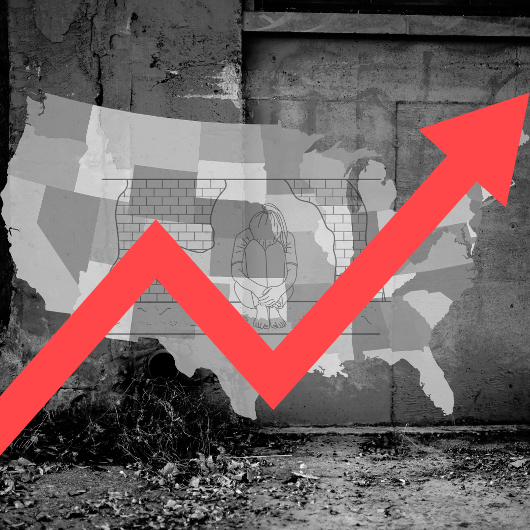 Empowering America: The Transformative Impact of Government Assistance ...